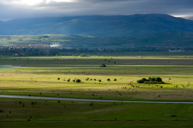Livno Field