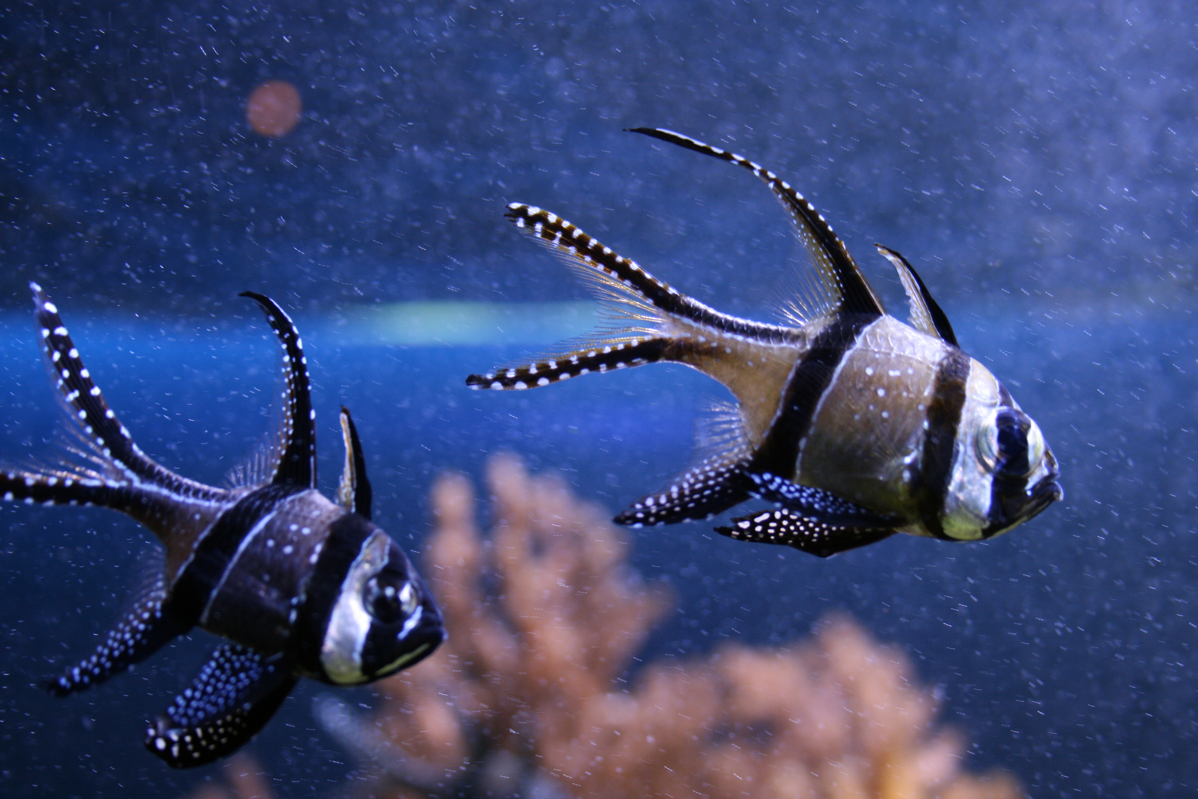 Aquaria Water Museum - Stockholm | public aquarium / oceanarium ...