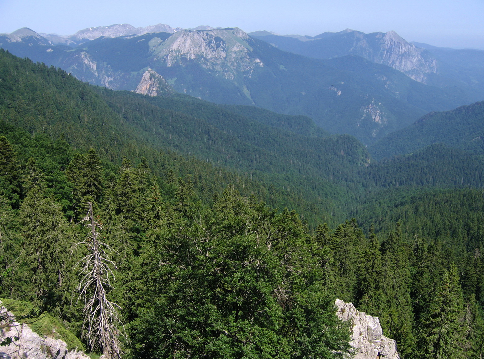Strict protection zone "Perućica", part of National Park "Sutjeska"