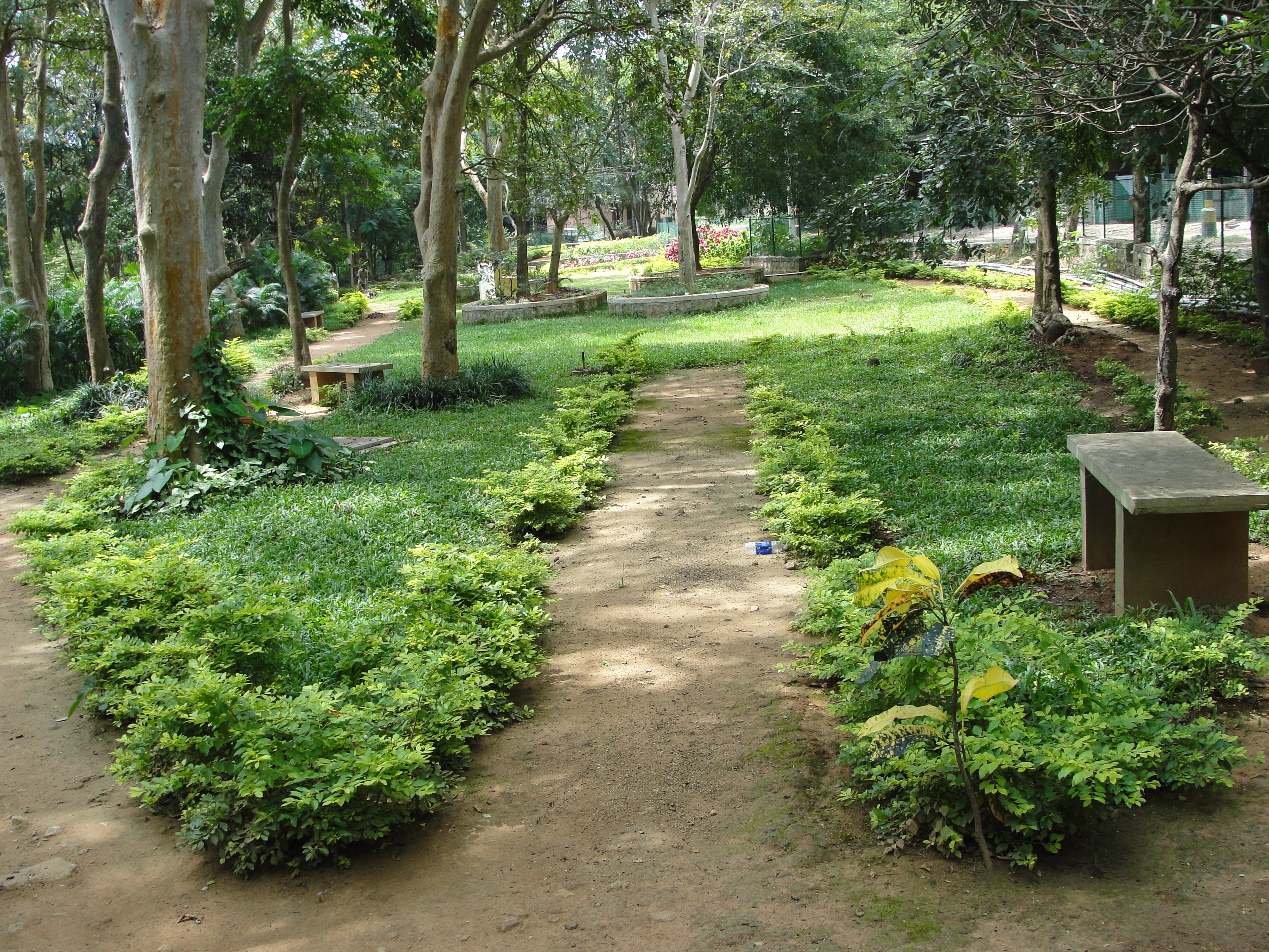 Bannerghatta National Park