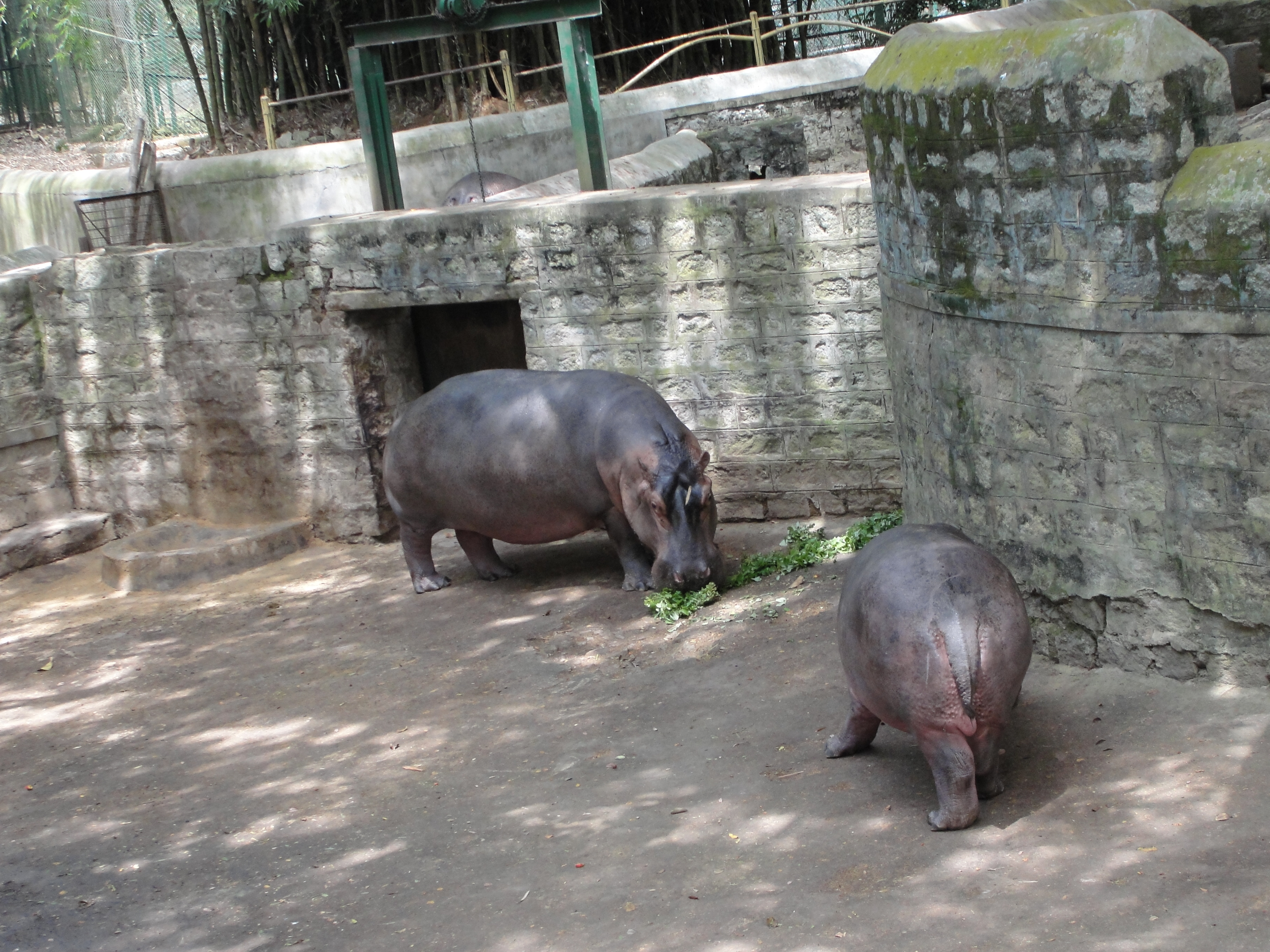 Bannerghatta National Park