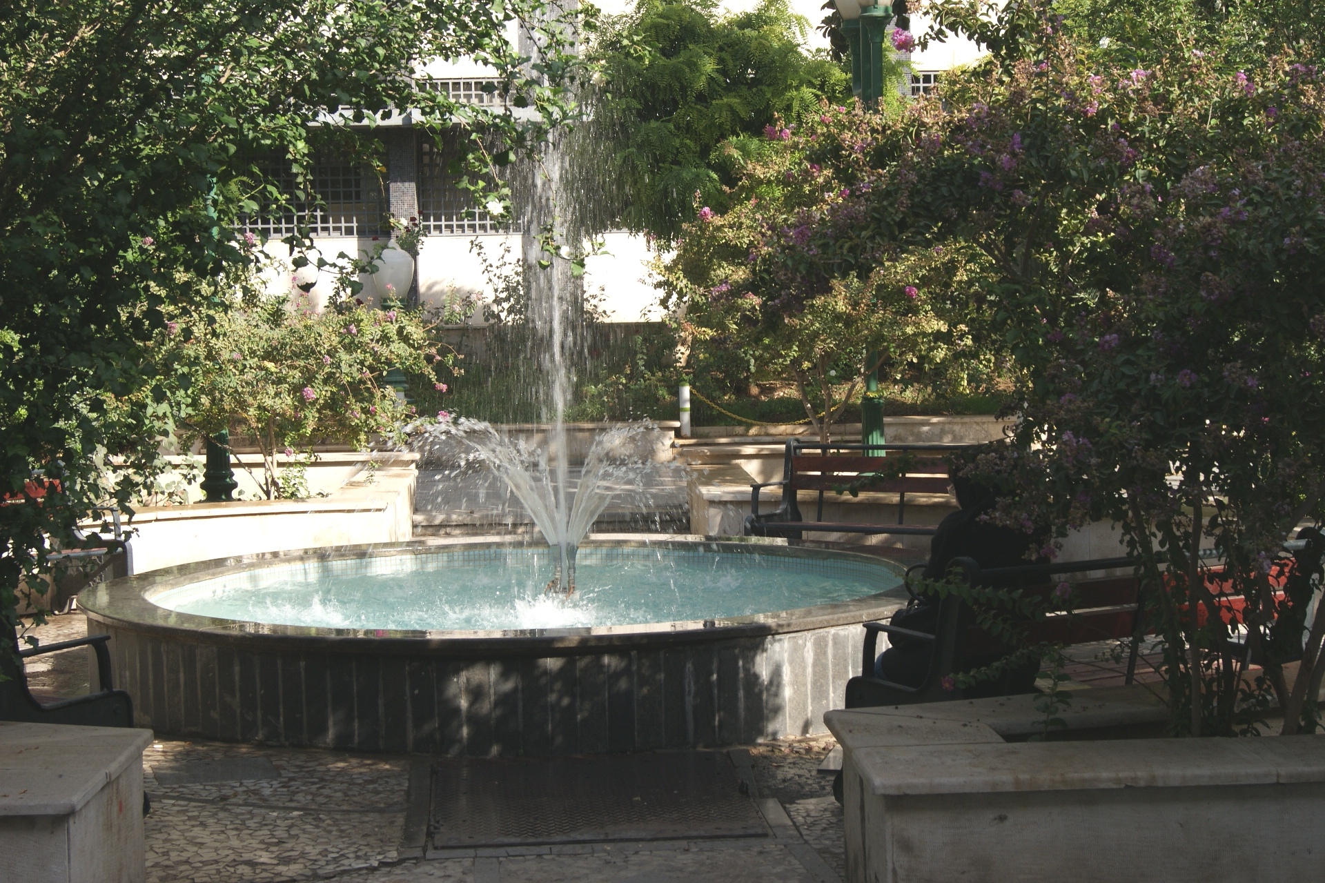 Tehran University of Medical Science - Tehran