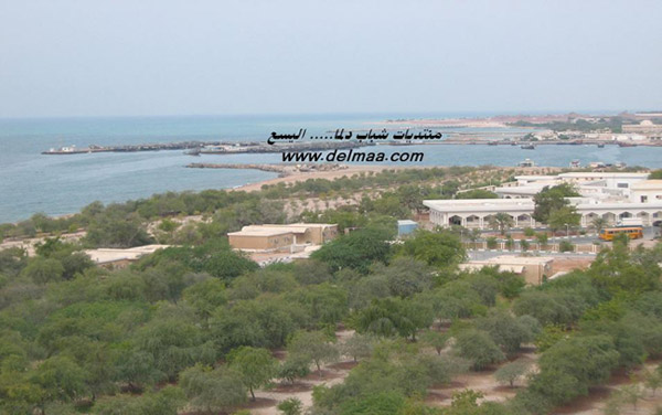 Delma Island