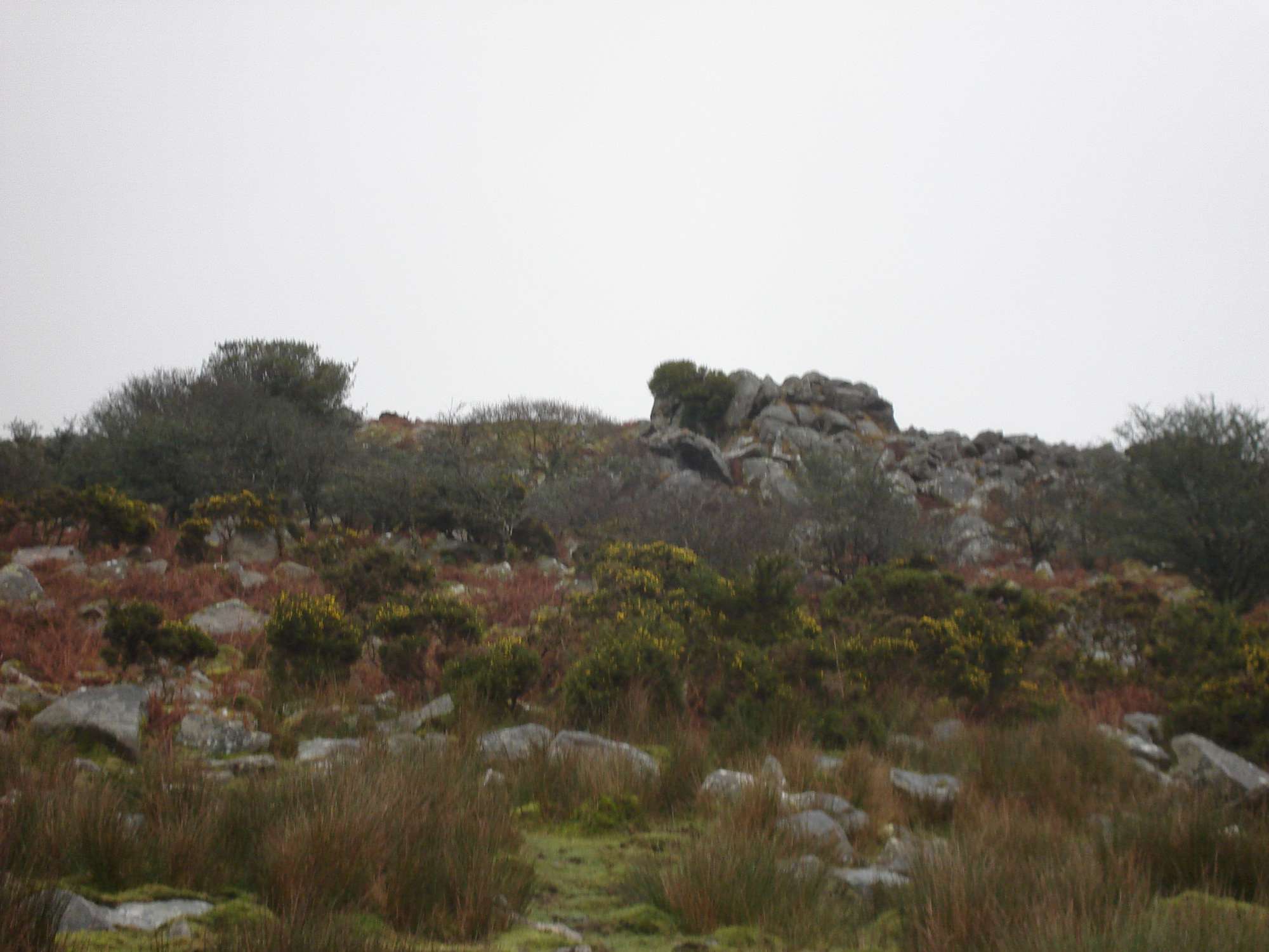 Collard Tor