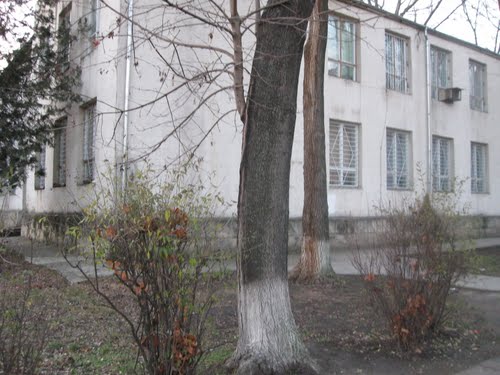 Liceul Teoretic "Dante Alighieri" - Chişinău