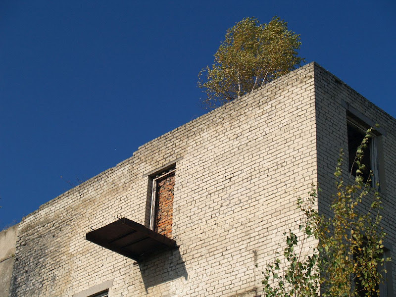 Administrative building No. 3