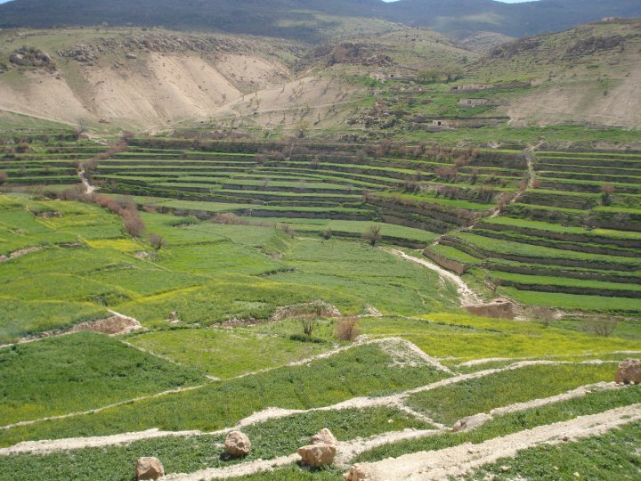 Sinjar Mountains (1463 m)