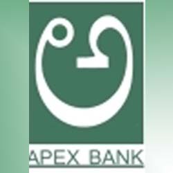 Apex Bank - Dhing