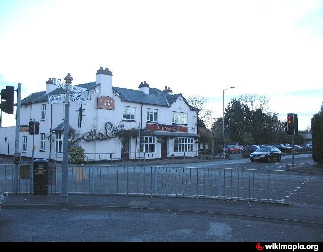 The Vine Tree - Frome