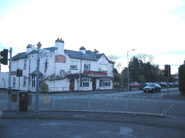 The Vine Tree - Frome