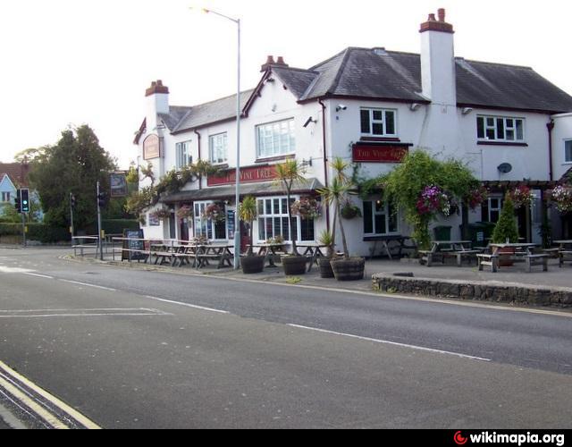 The Vine Tree - Frome