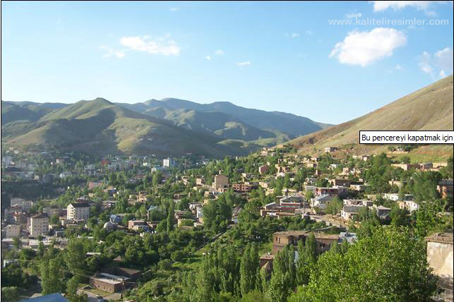 Bitlis Province | first-level administrative division