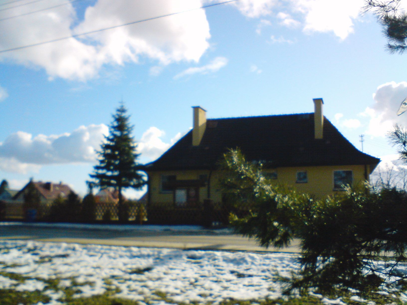 Leśnictwo Orle - Orle