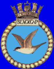 Former RNAS Stretton (HMS Blackcap)