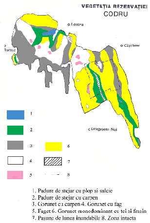 "Codrii" natural conservation park