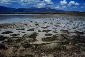 Alkali Lake