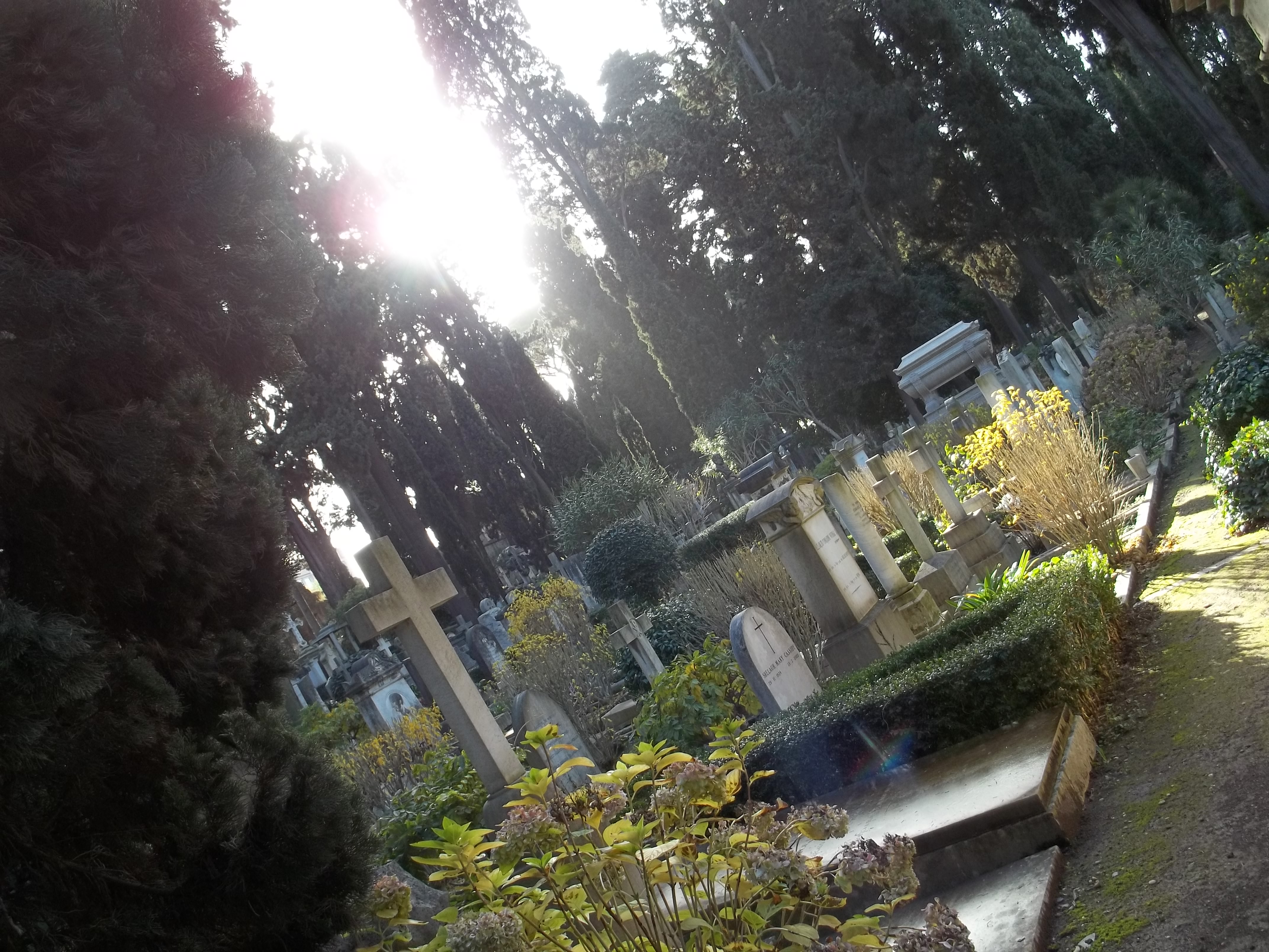 Protestant Cemetery - Rome