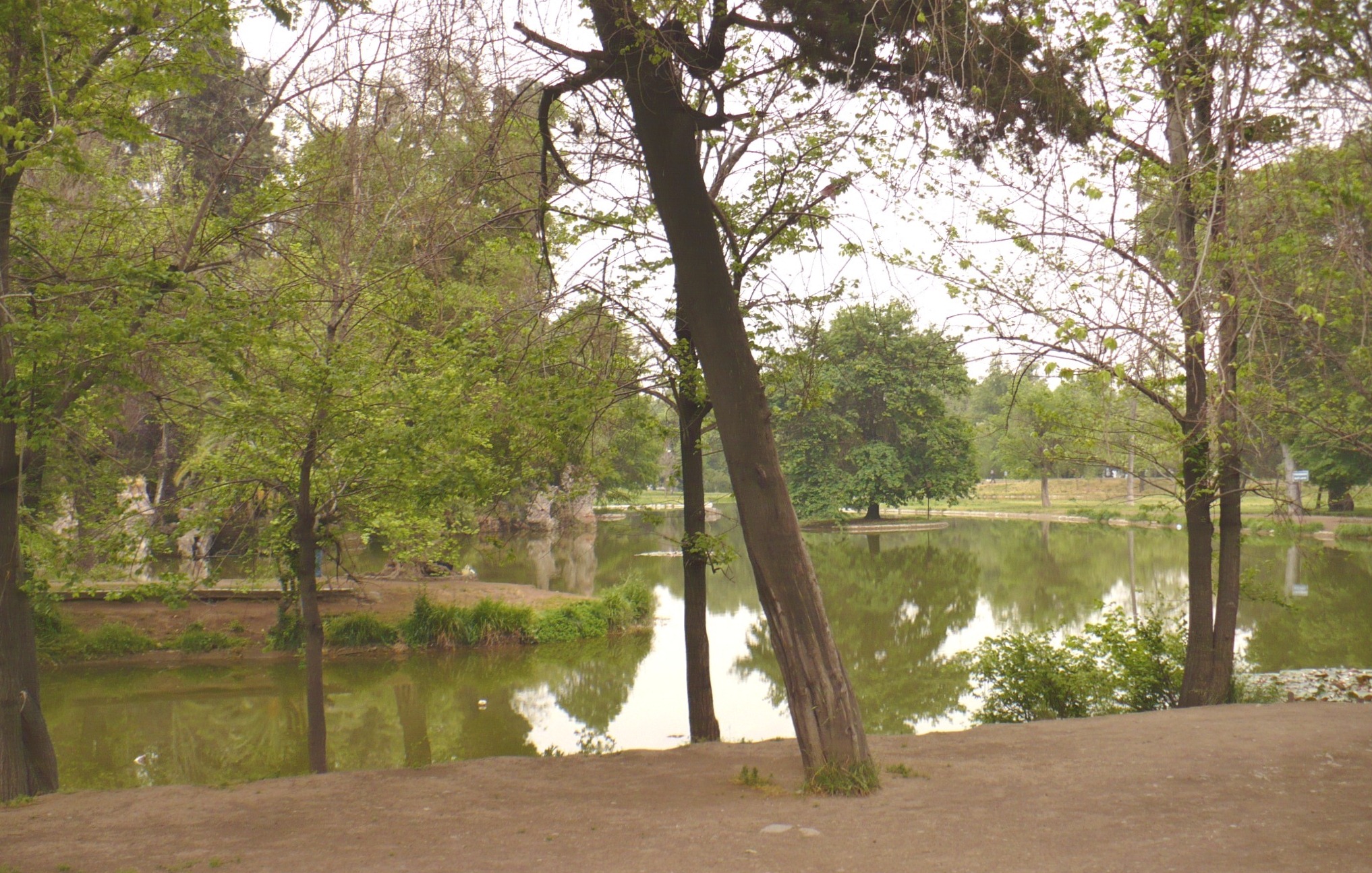 Lagunas del Parque O'Higgins - Santiago de Chile