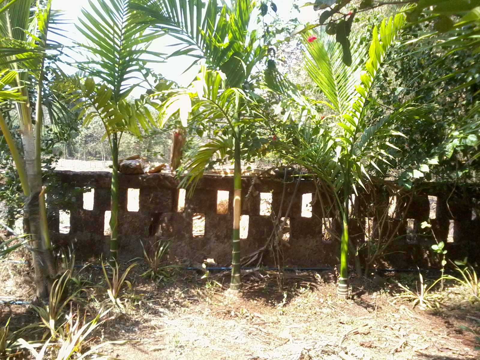 SUBHASH RAMESH SHELAR