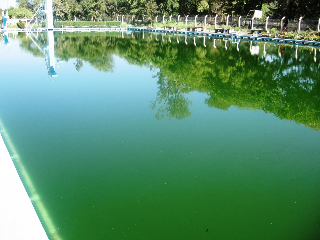 Swimming pool - Merti