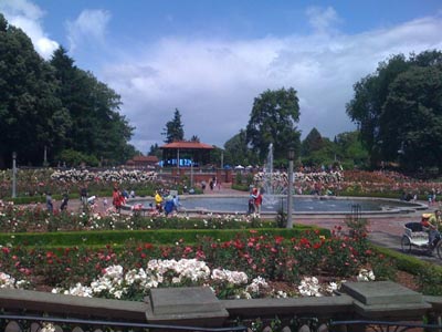 Peninsula Park - Portland, Oregon