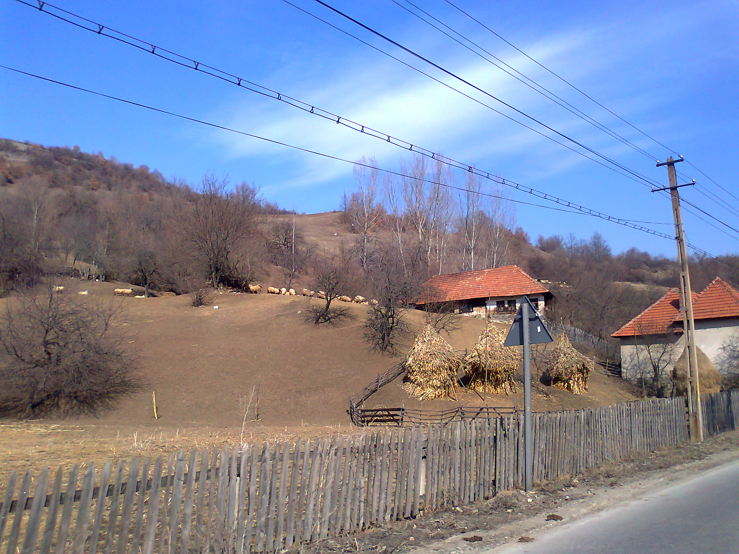 Poiana Ampoiului (ro)