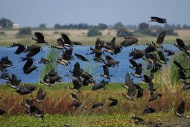 Lake Manyame (Darwendale Reservoir)