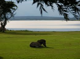 Lake Manyame (Darwendale Reservoir)