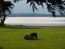 Lake Manyame (Darwendale Reservoir)