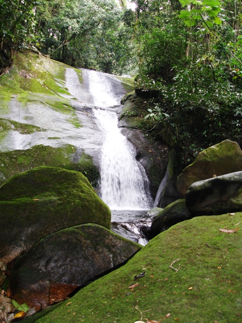 Núcleo Itutinga-Pilões - Parque Estadual da Serra do Mar