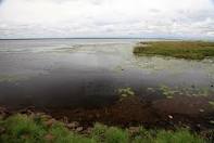 Lake Bisina