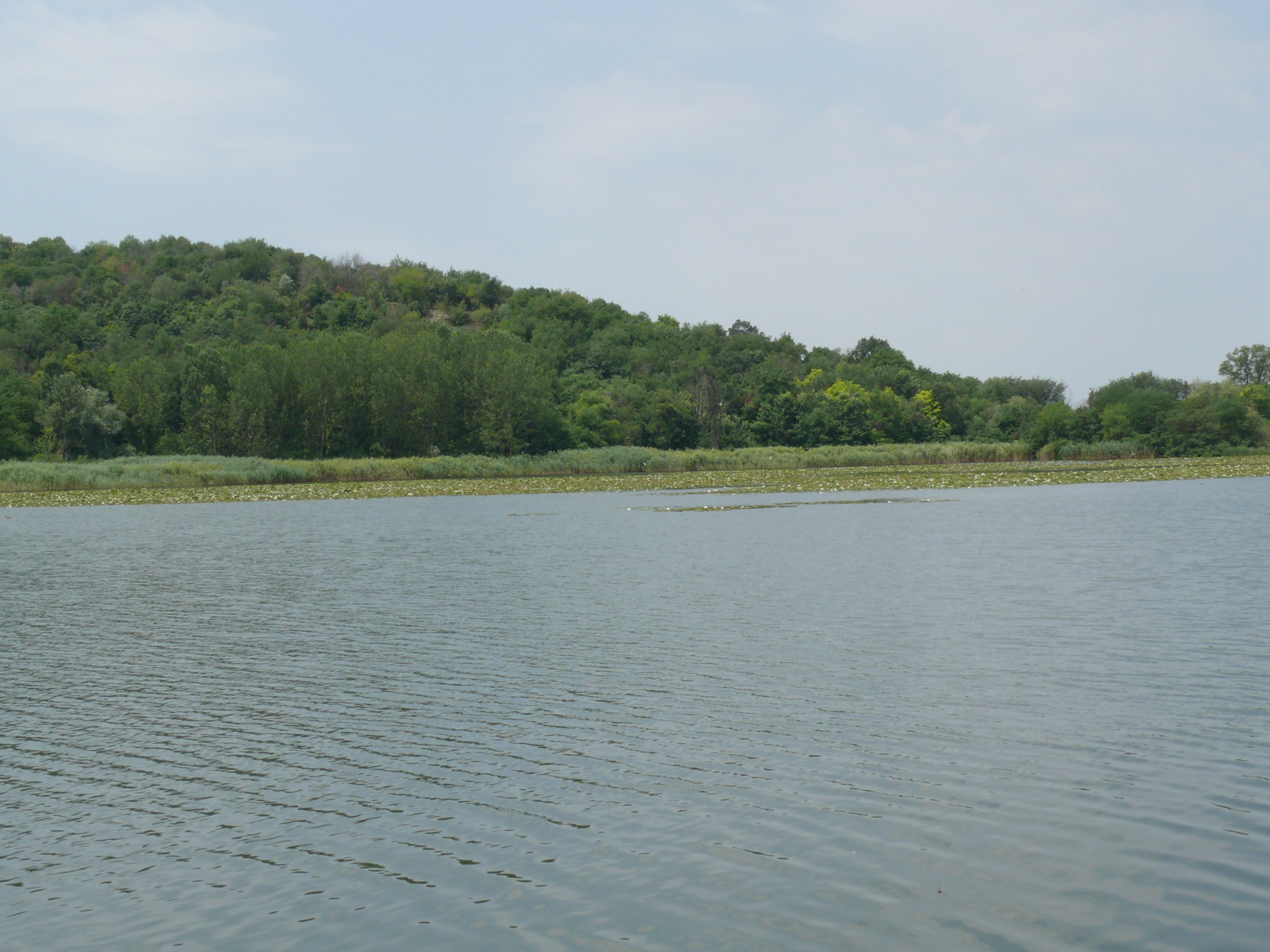 Malak Preslavets Marsh