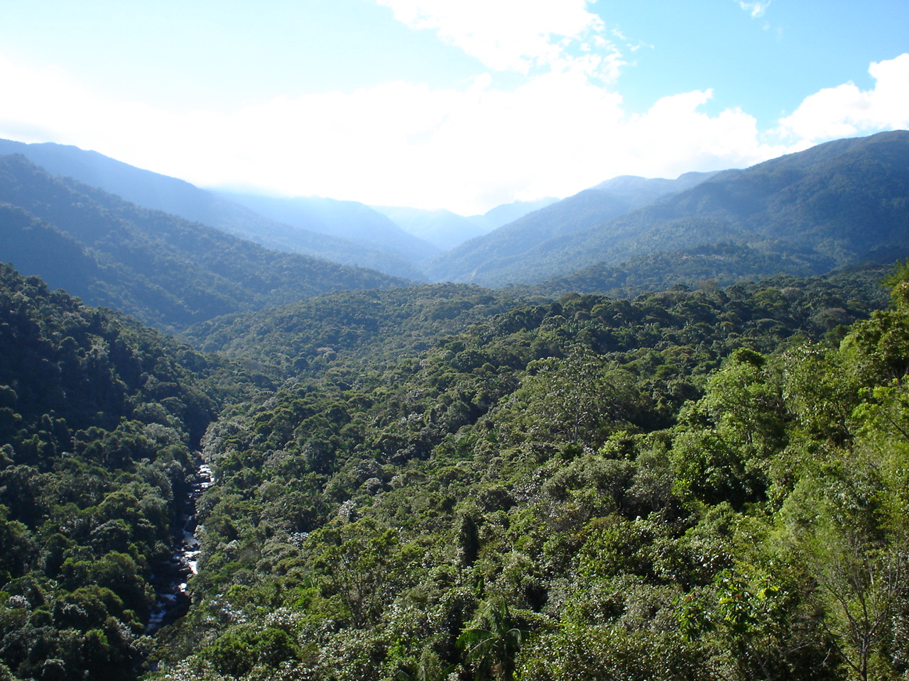 Parque Nacional do Itatiaia - Itamonte