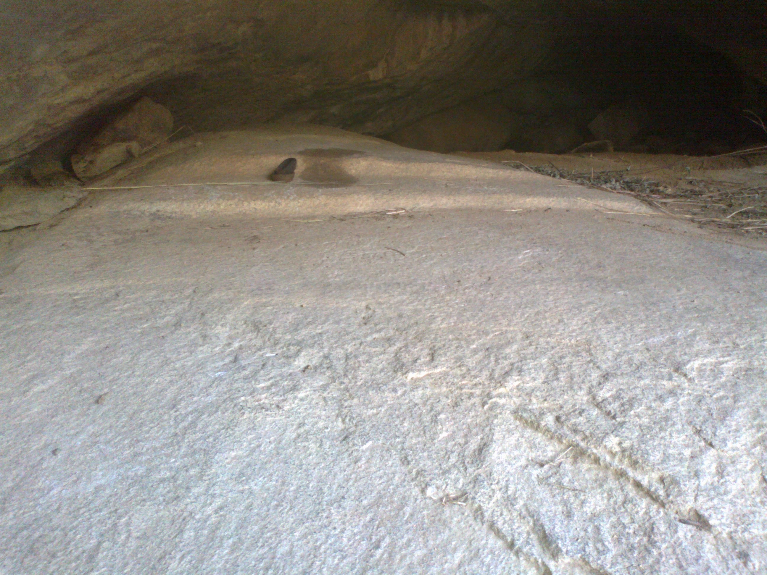 Jain beds