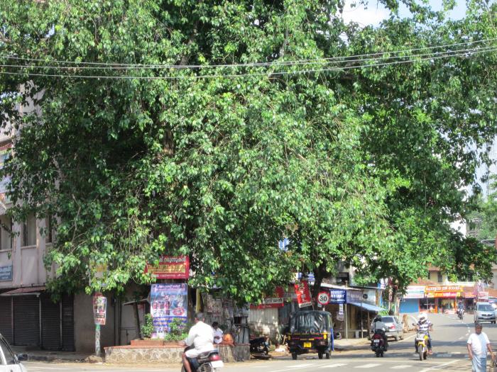 Aalum Chodu - Piravom