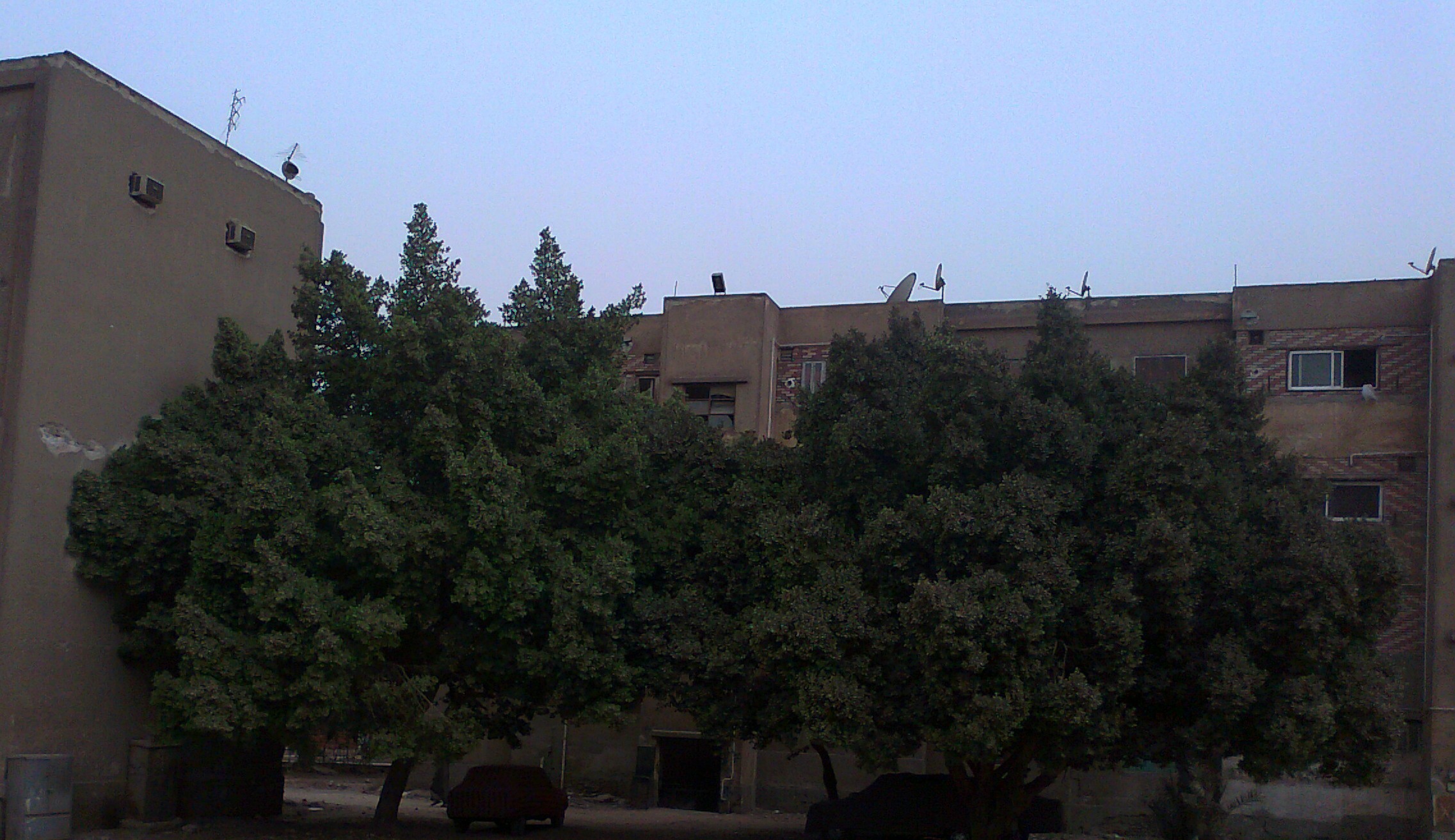 mahmoud figo (home) - Helwan