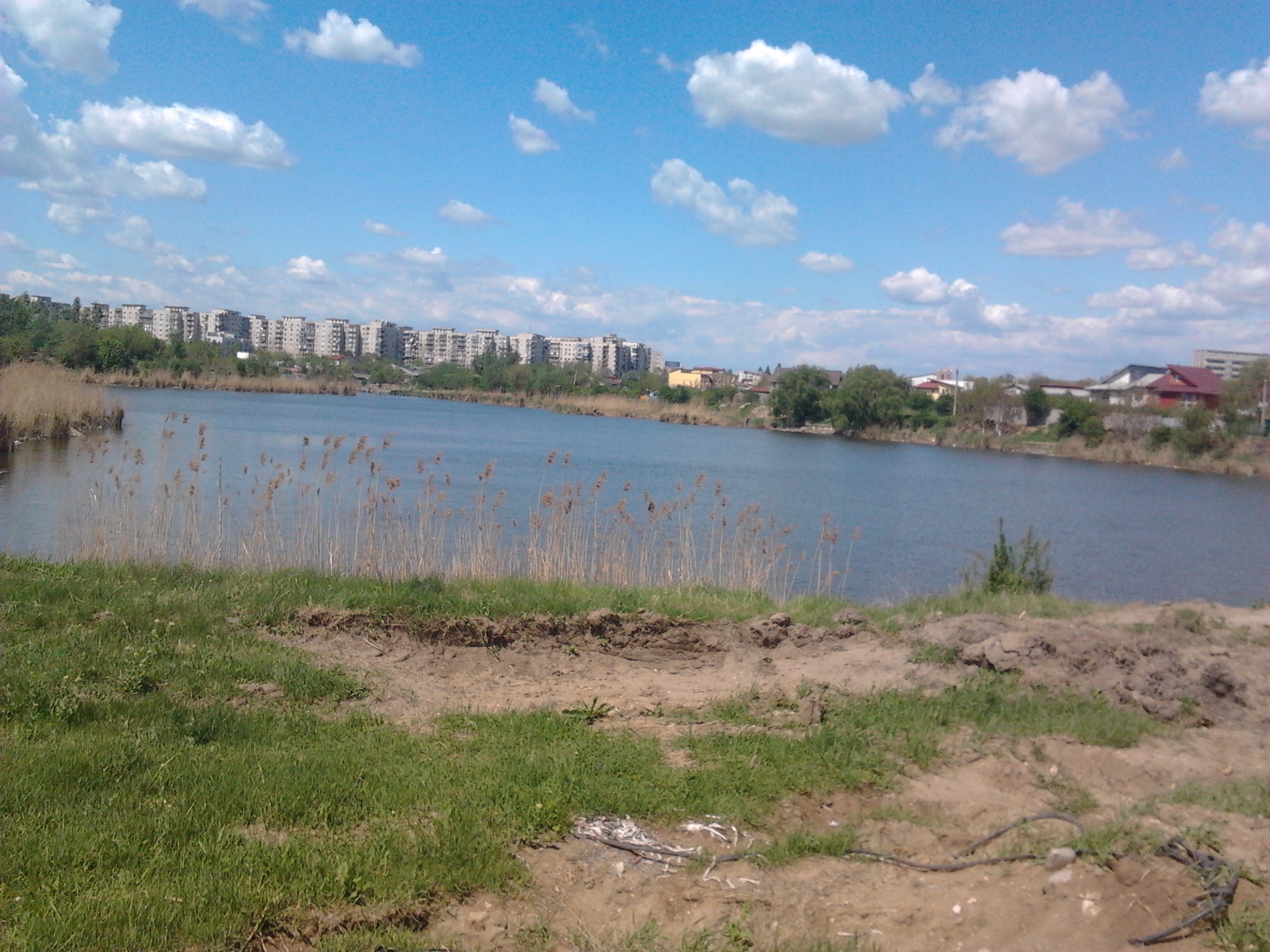 Lacul Colentina - Bucureşti