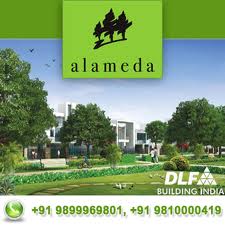 DLF Alameda Sector 73 - Gurugram