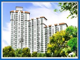 DLF Alameda Sector 73 - Gurugram