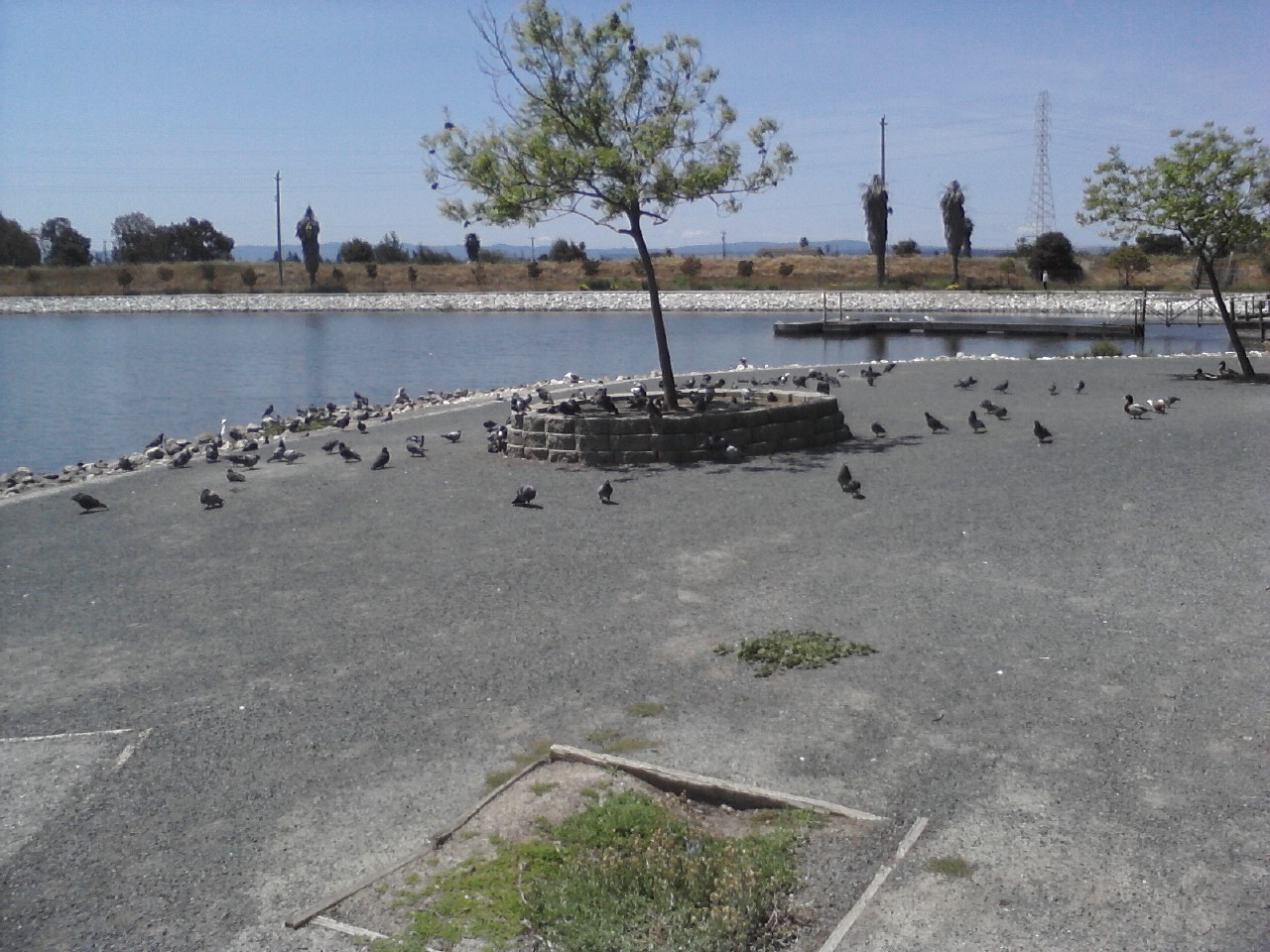 Hidden Lake Park - Milpitas, California