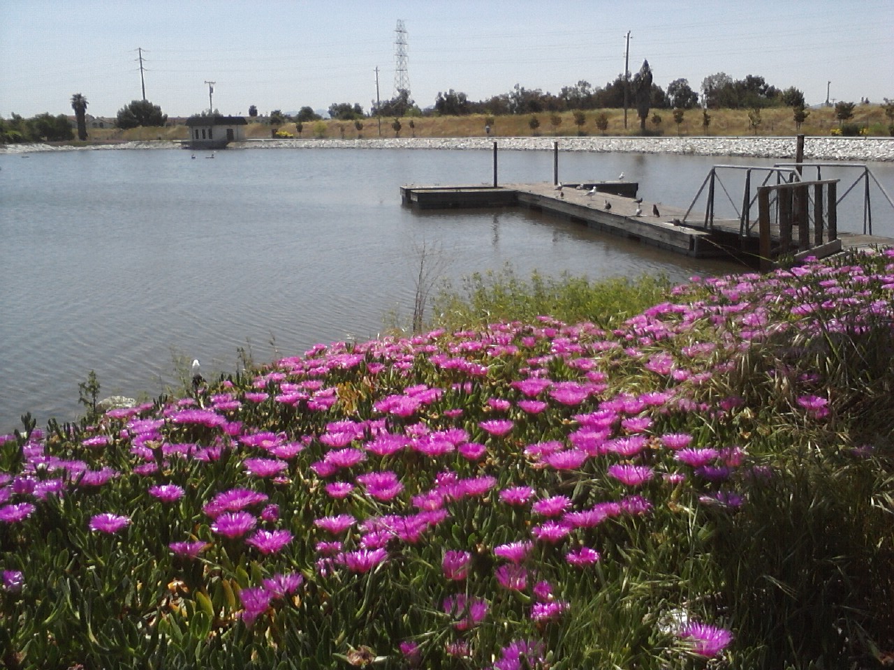 Hidden Lake Park - Milpitas, California