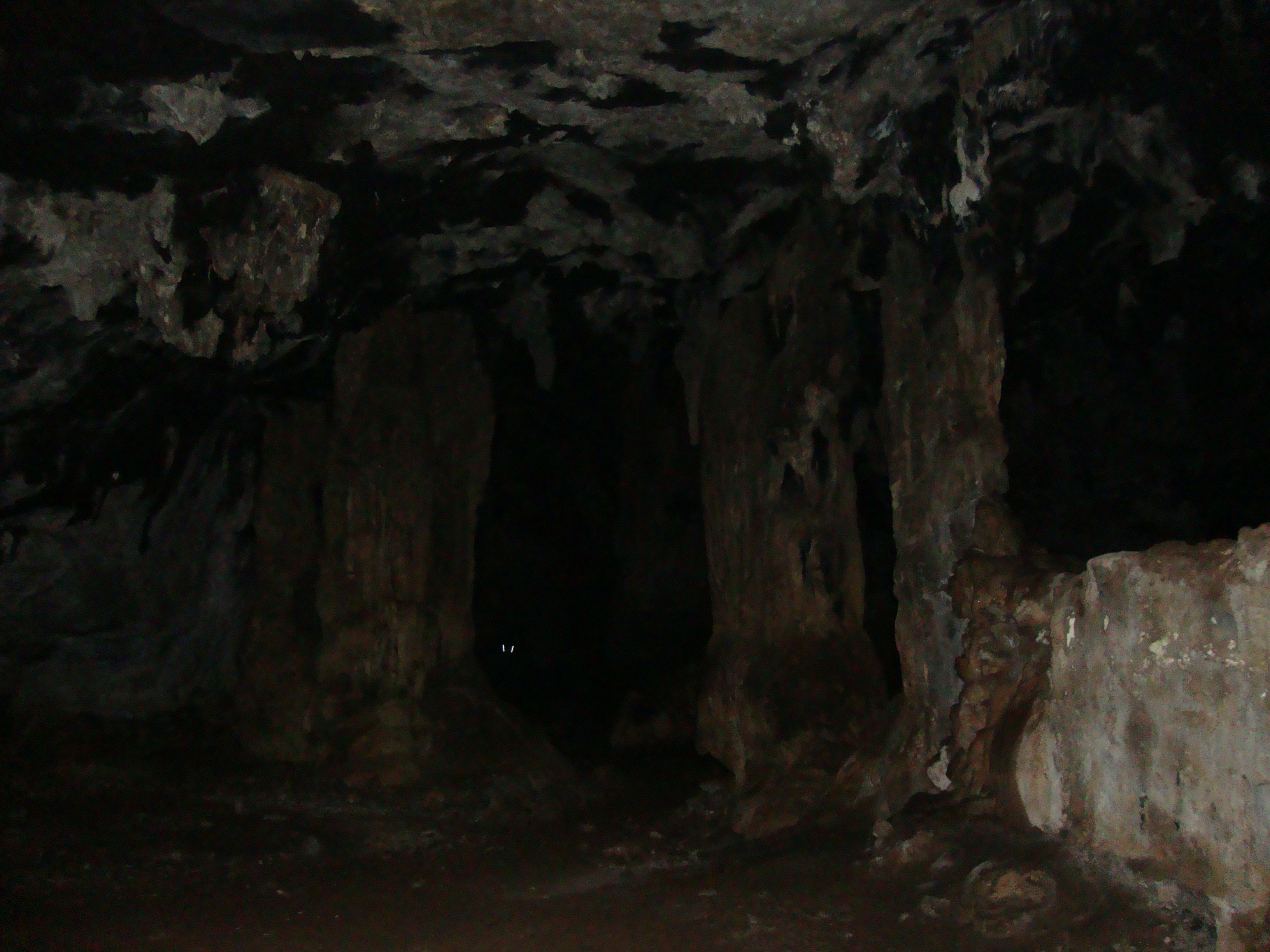 Cave of Our Lady of the Bear (Spileo Arkoudas) | cave / caves ...
