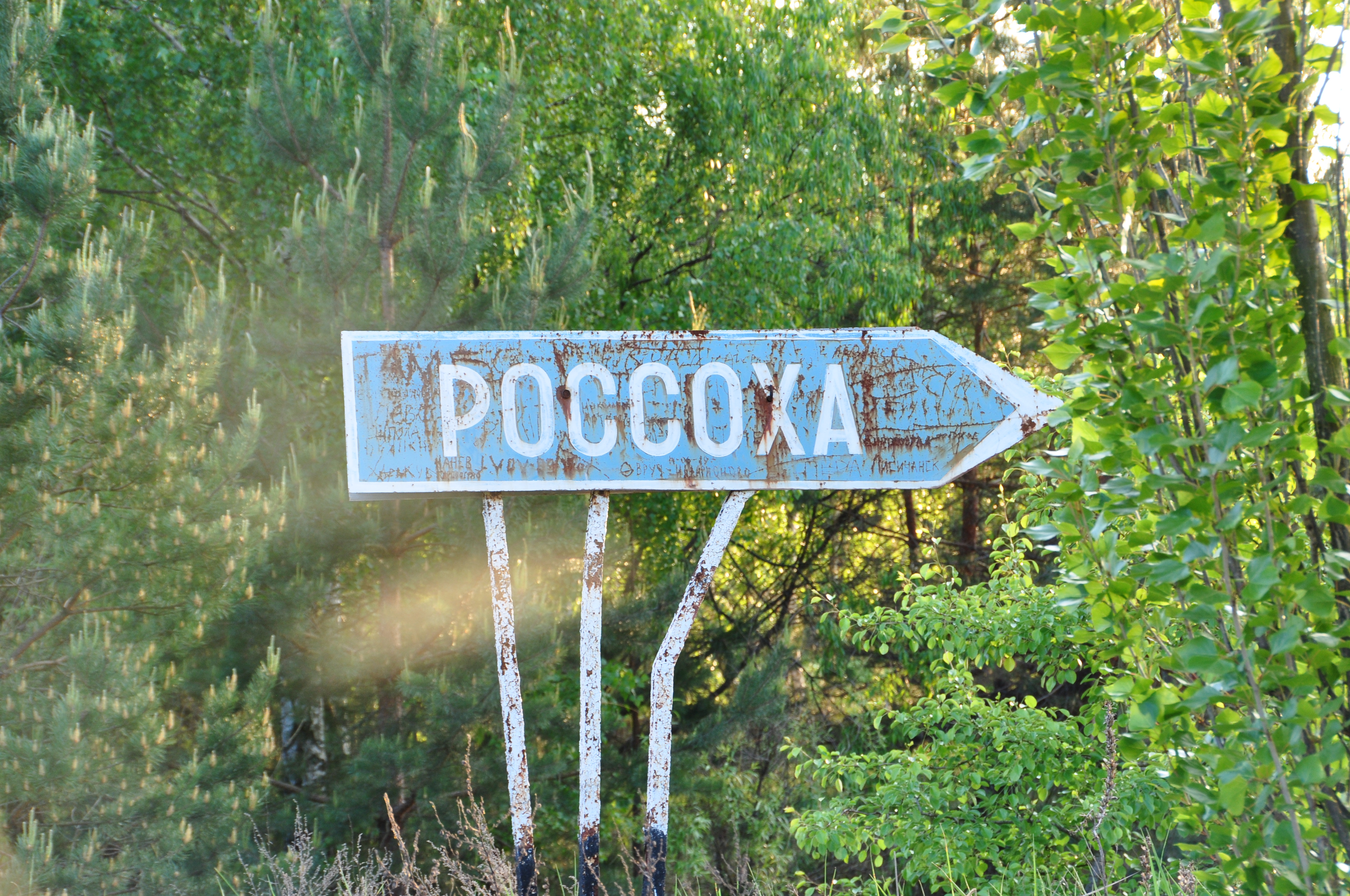 Rasocha