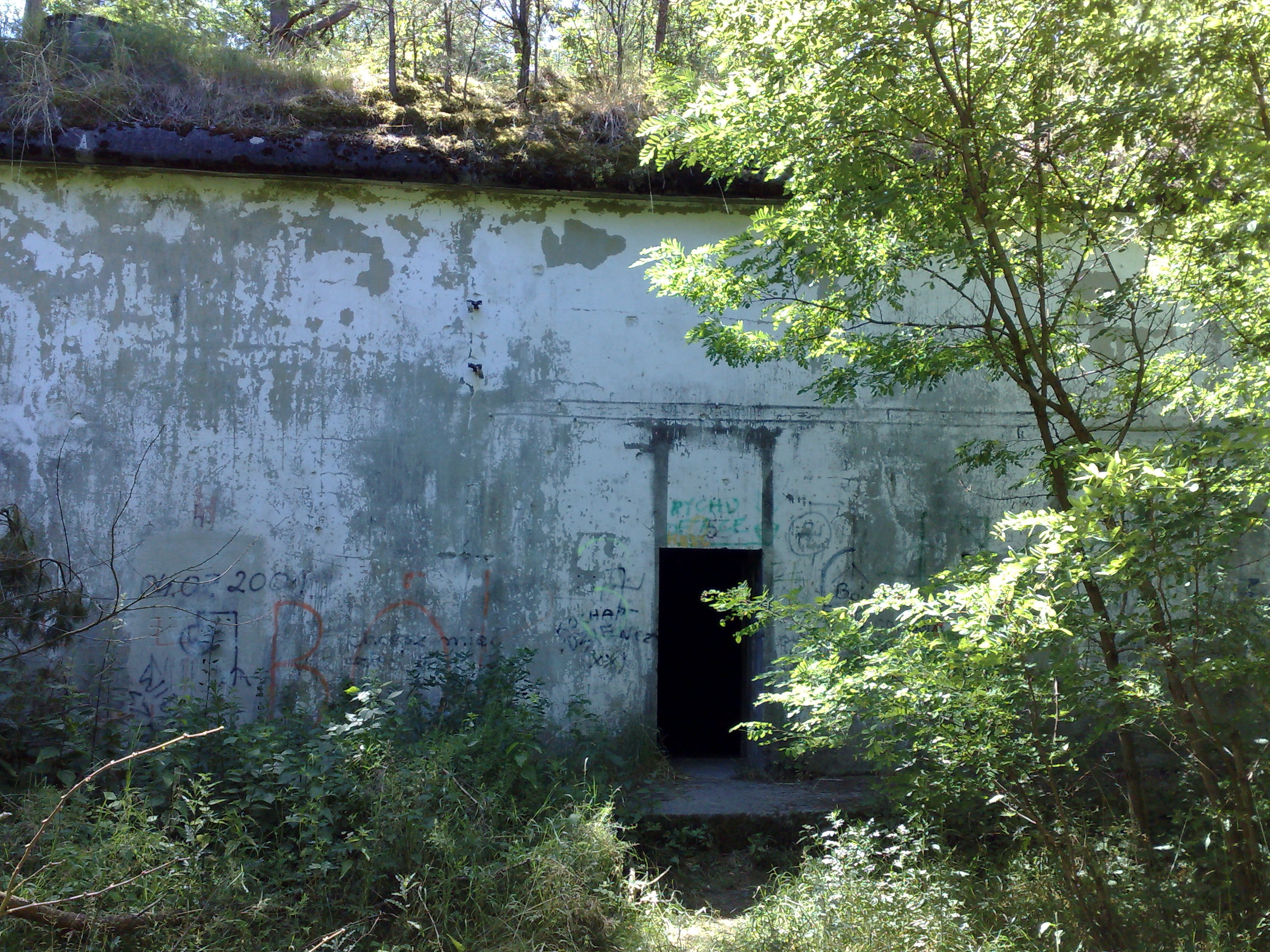 Fort VII Twierdzy Modlin - Sady