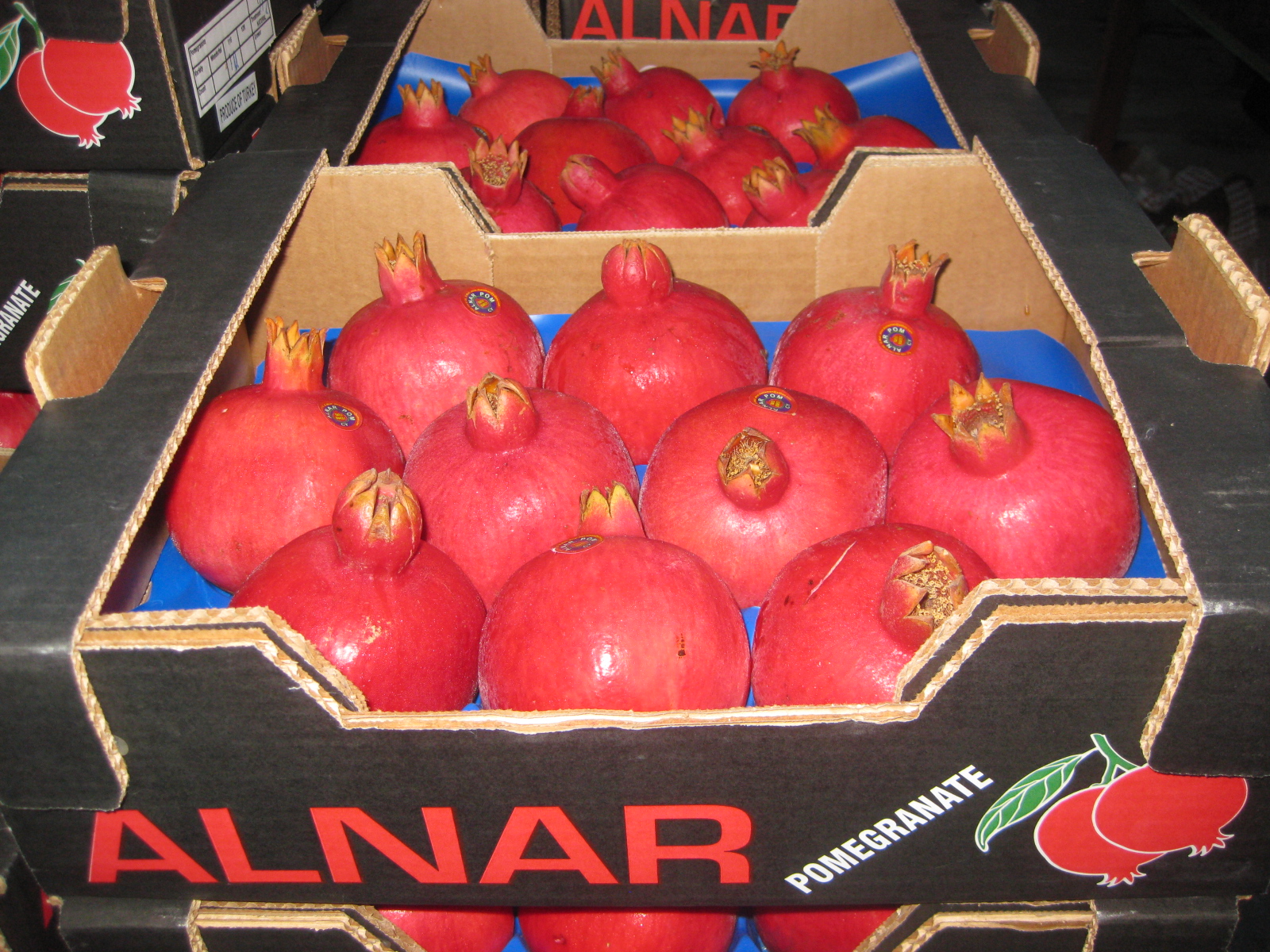 Alnar Narcilik Ltd. (Alnarpom)