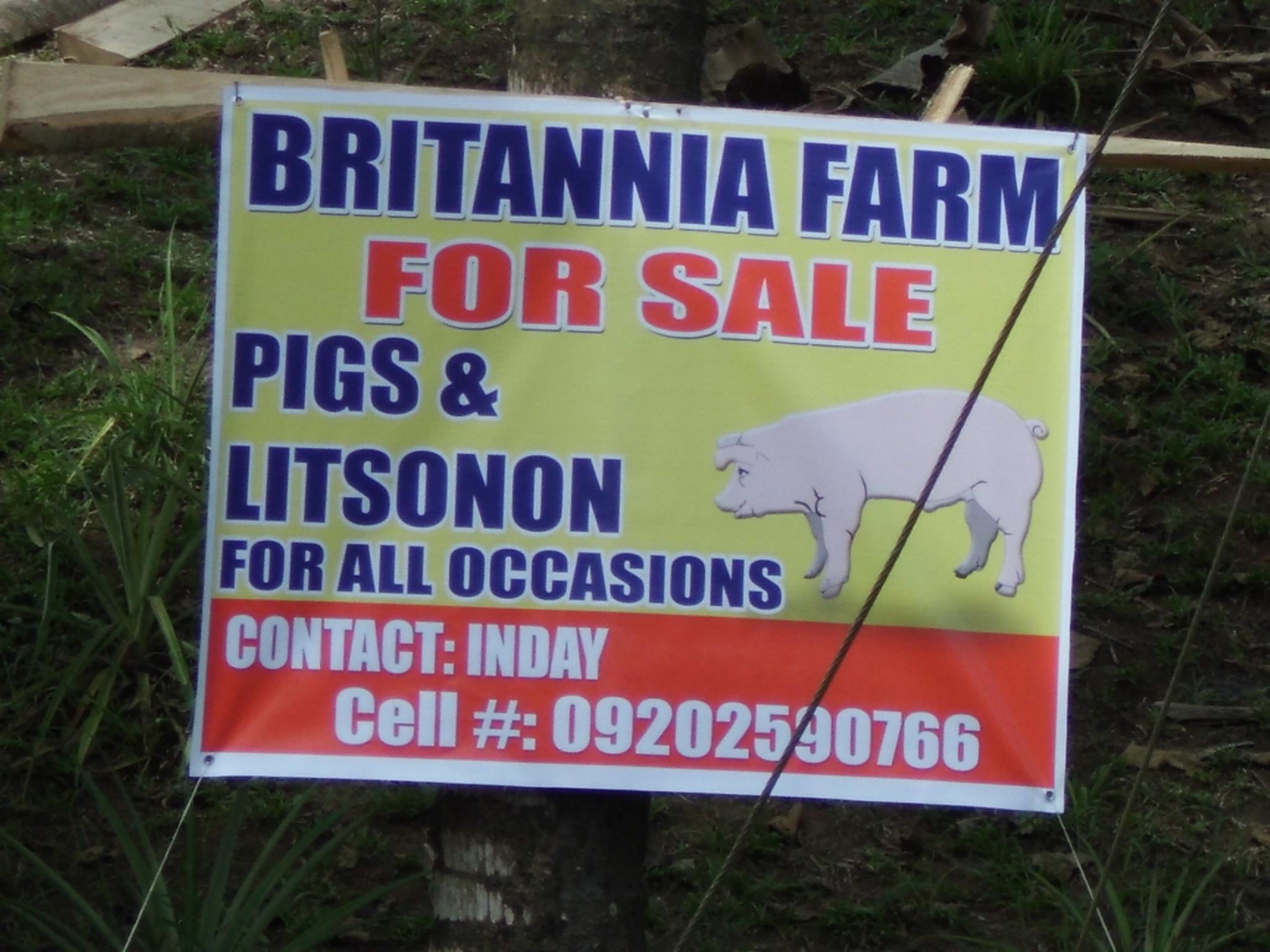 Britannia Farms - San Isidro