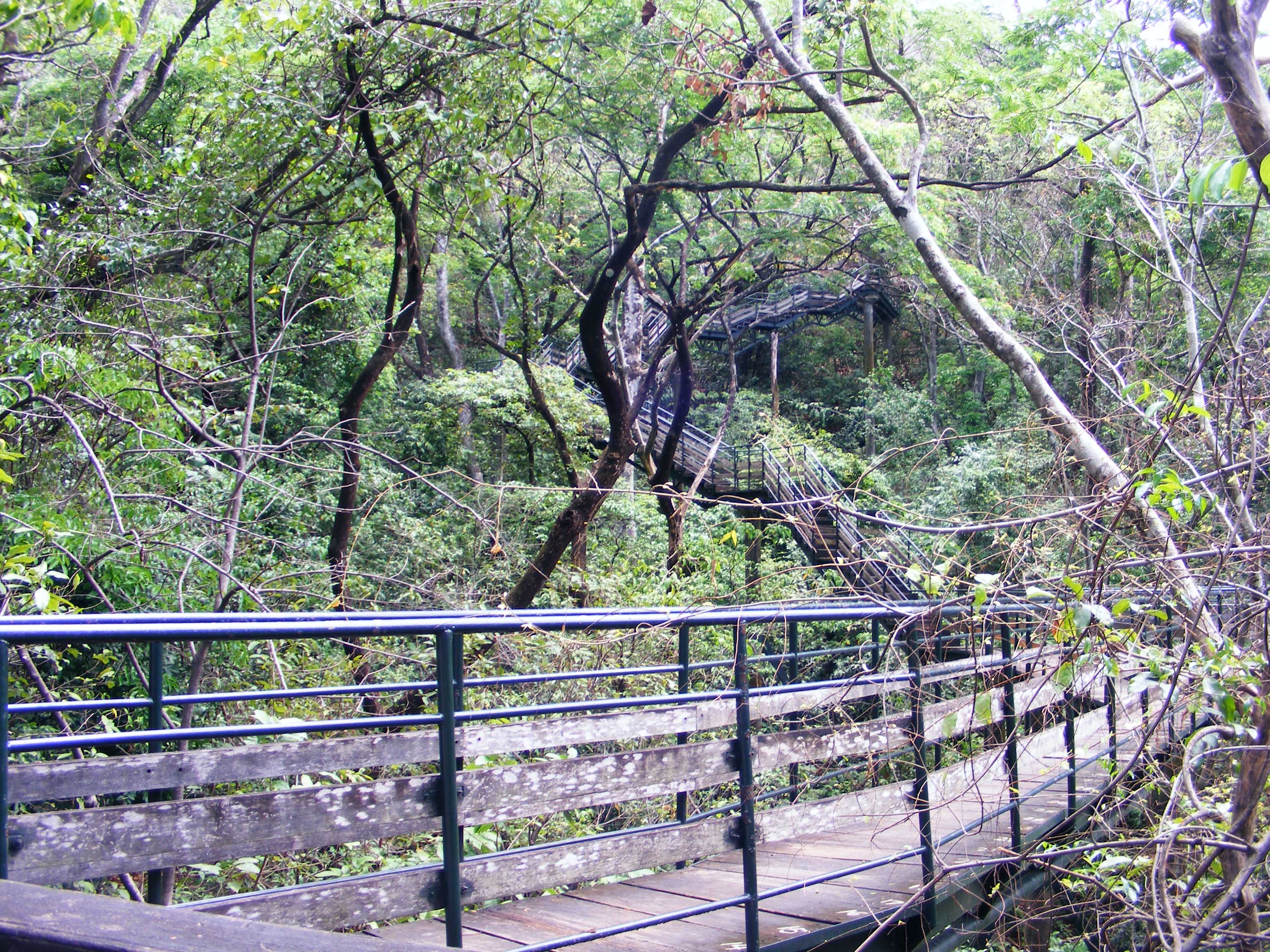 Adventure zone - Thenmala