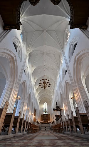 Saint Canute's Cathedral - Odense
