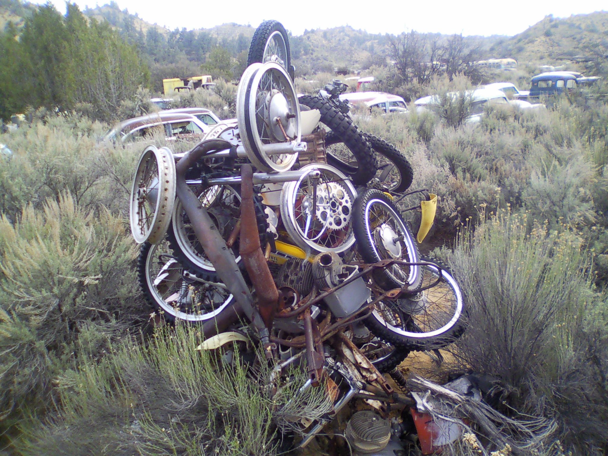 Tom Merkel's "Lost Highway" Car Garden