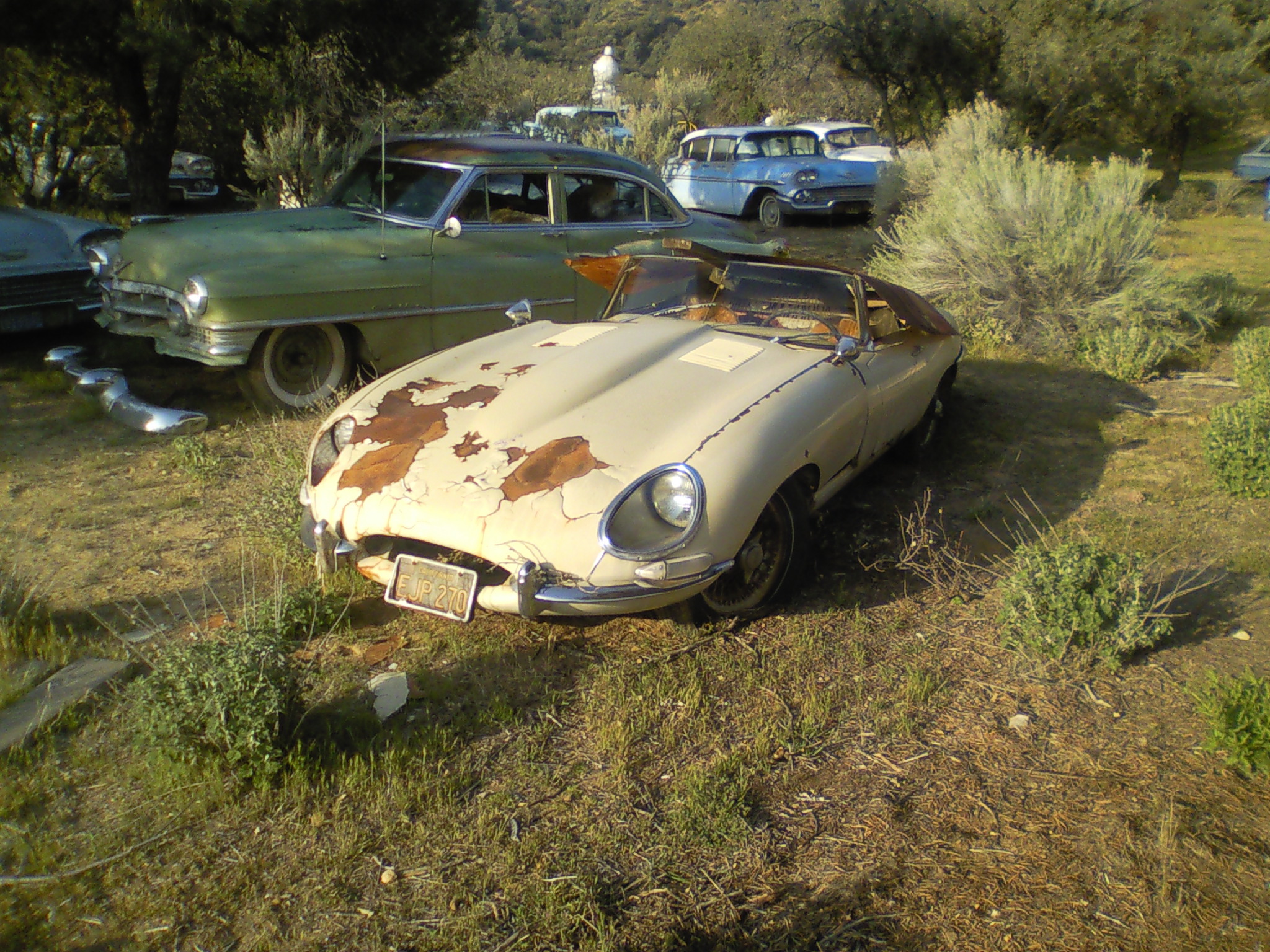 Tom Merkel's "Lost Highway" Car Garden